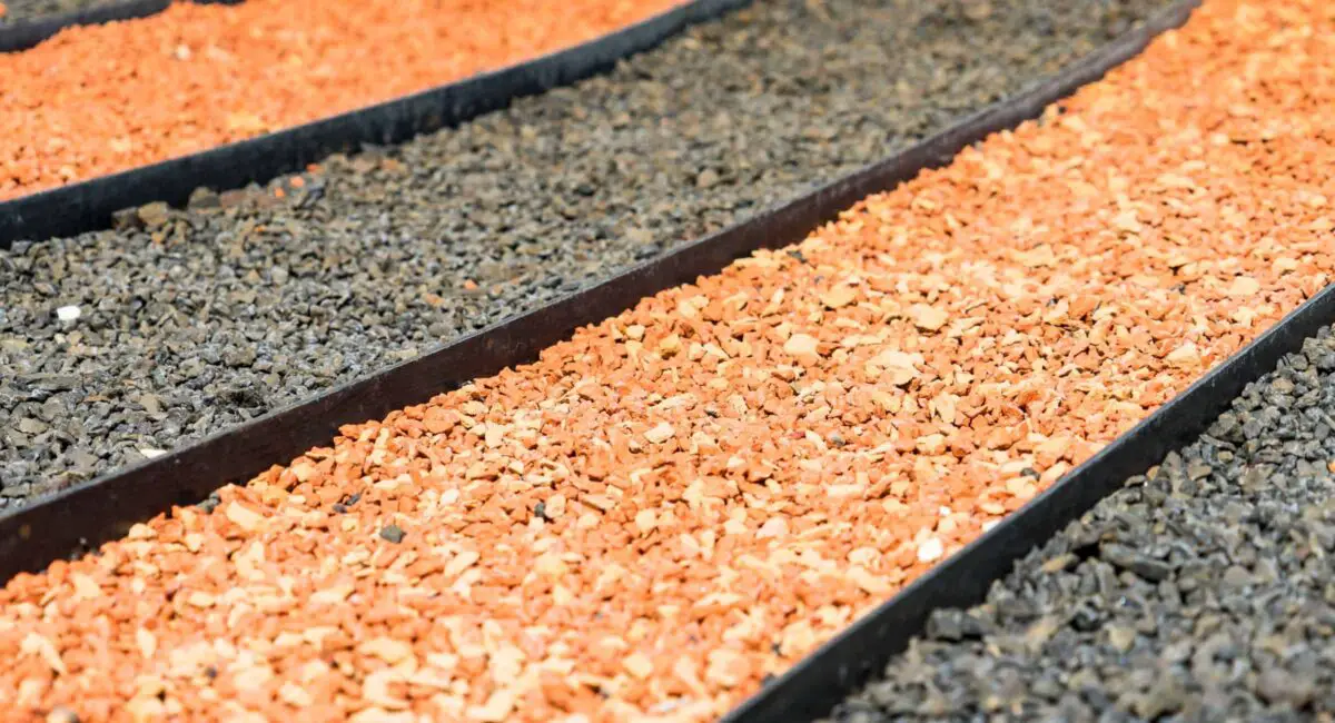 Hostas in Rock Gardens” Here’s What Really Matters